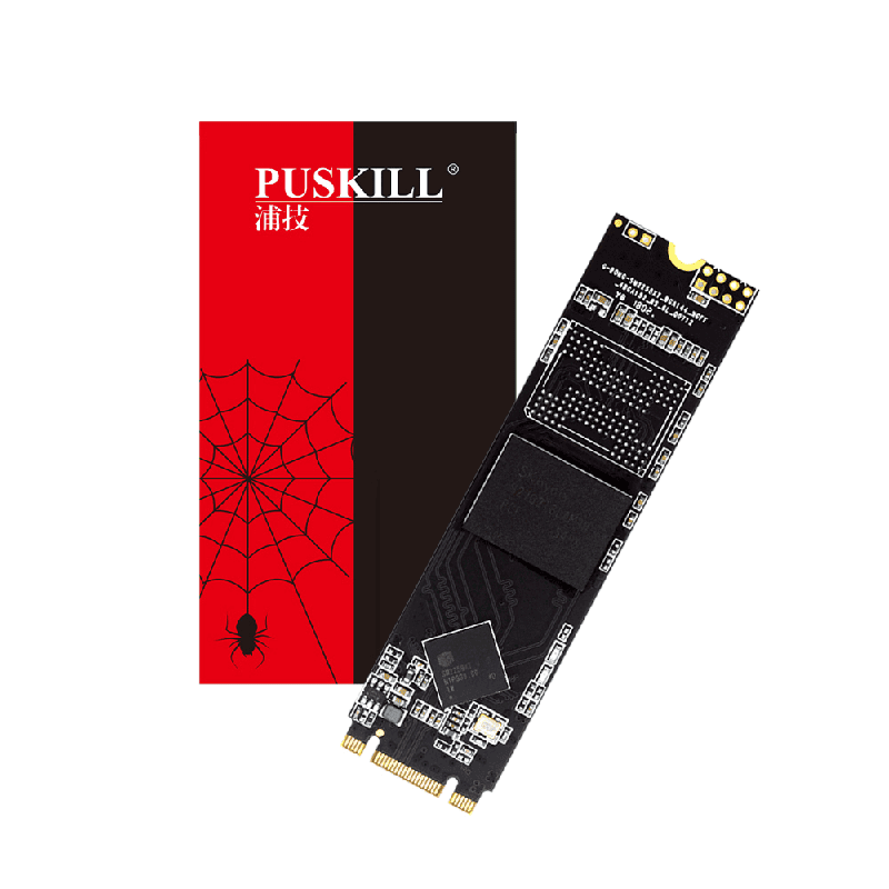 PUSKILL SSD M.2 2280 256GB SSD Price In Sri Lanka | Central Computers ...